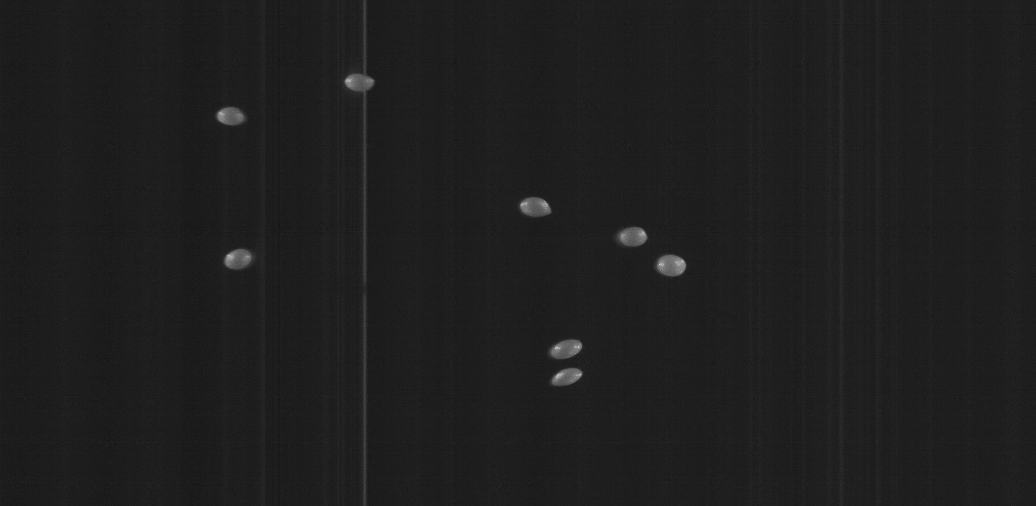 particle_detection Object Detection Dataset by Monica
