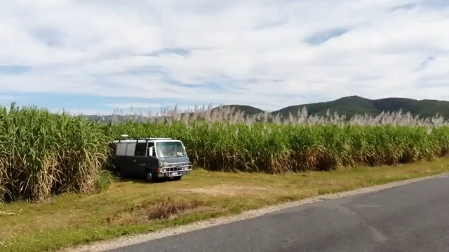 Wheat Computer Vision Dataset By Object Detection