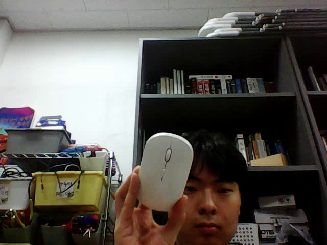 mouse Object Detection Dataset by project-h7nxy