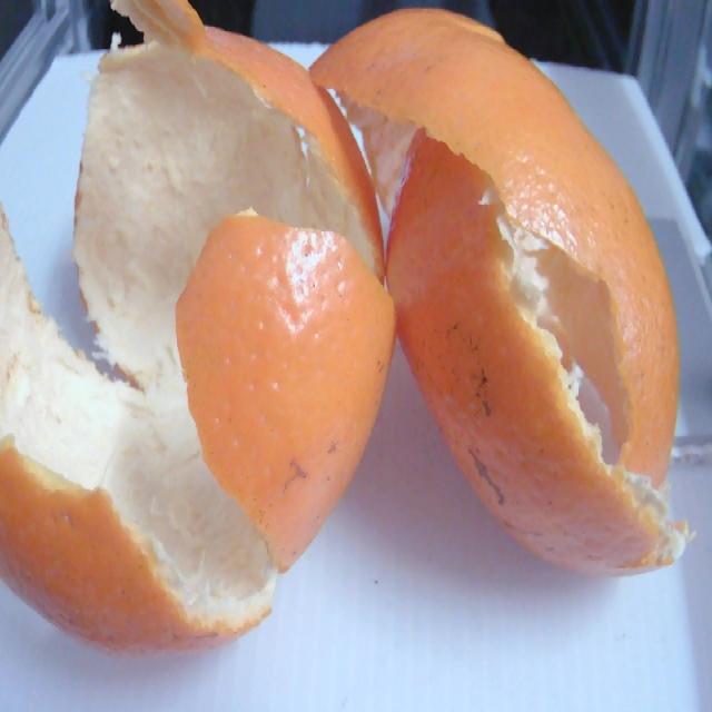 rb Object Detection Dataset by rubbish