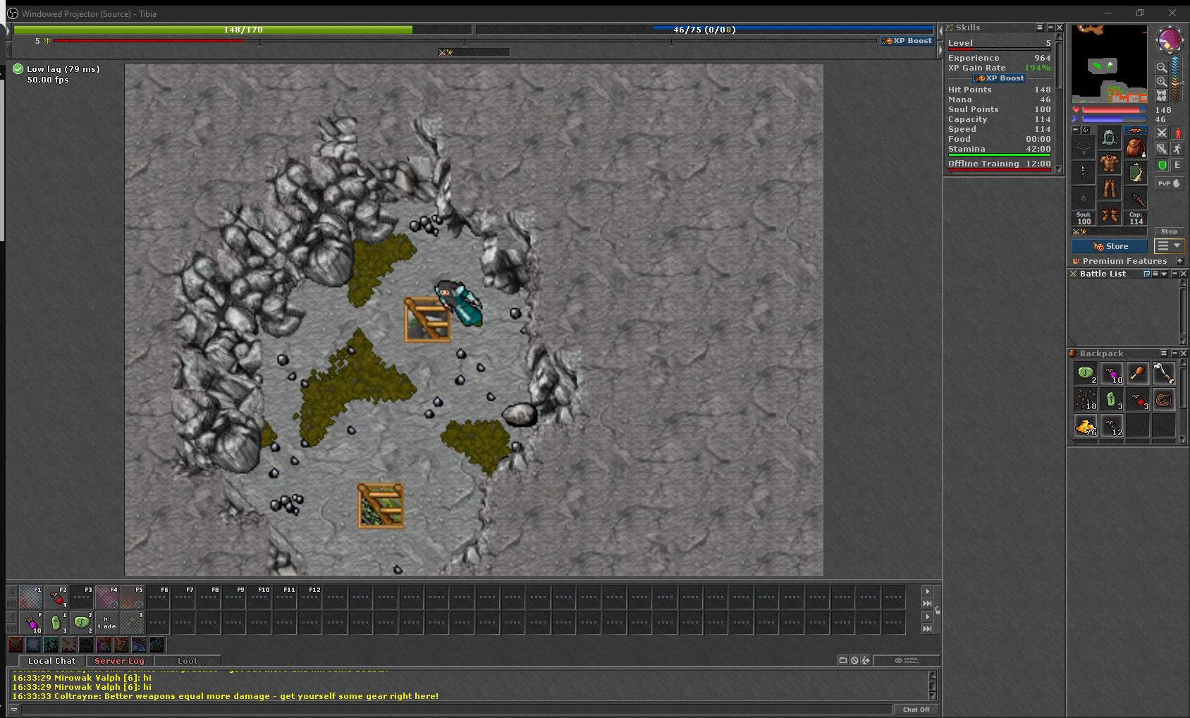 Tibia Game Elements Object Detection Model by Alison