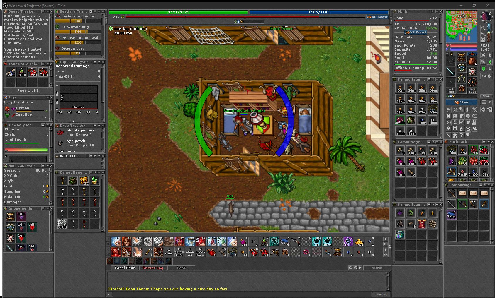 Tibia Game Window Area Object Detection Dataset by Alison