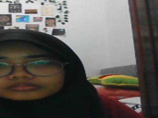 partial face Object Detection Dataset by telkom university