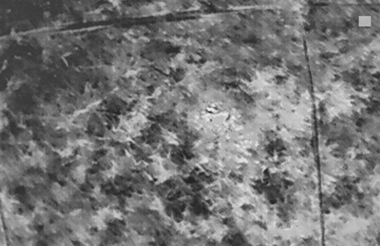 Detect Count And Visualize Object Detection Object Detection Dataset By Landmine Vision