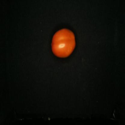 Tomato Maturity Classification Model by Ayush