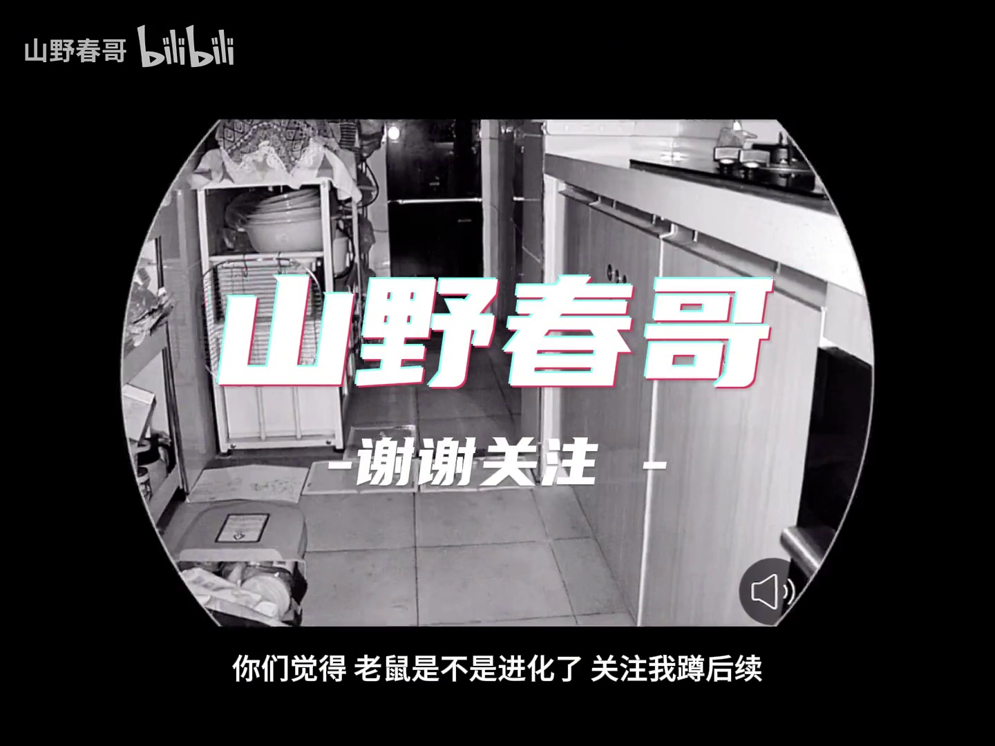 rat-infrared Object Detection Dataset by test