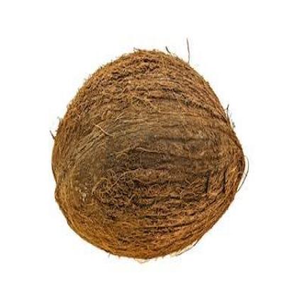 Coconut Object Detection Dataset by akobibili