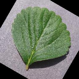 selaa - Roboflow Universe