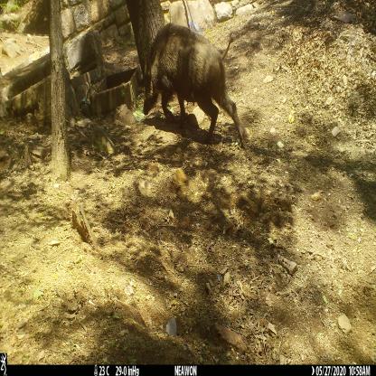 asdfsdf Object Detection Dataset by new-workspace-3lhx2