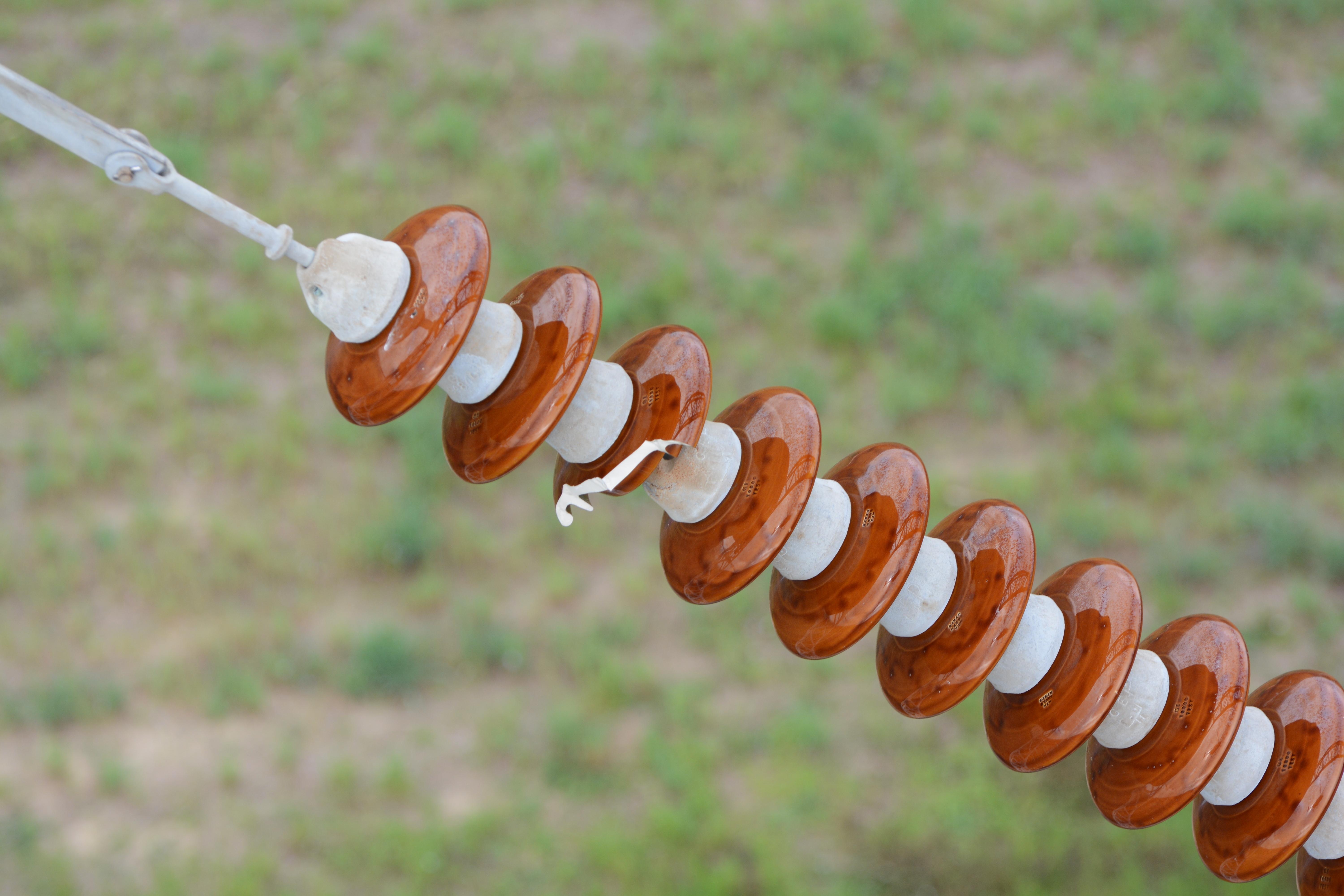 o Object Detection Dataset and Pre-Trained Model by insulator