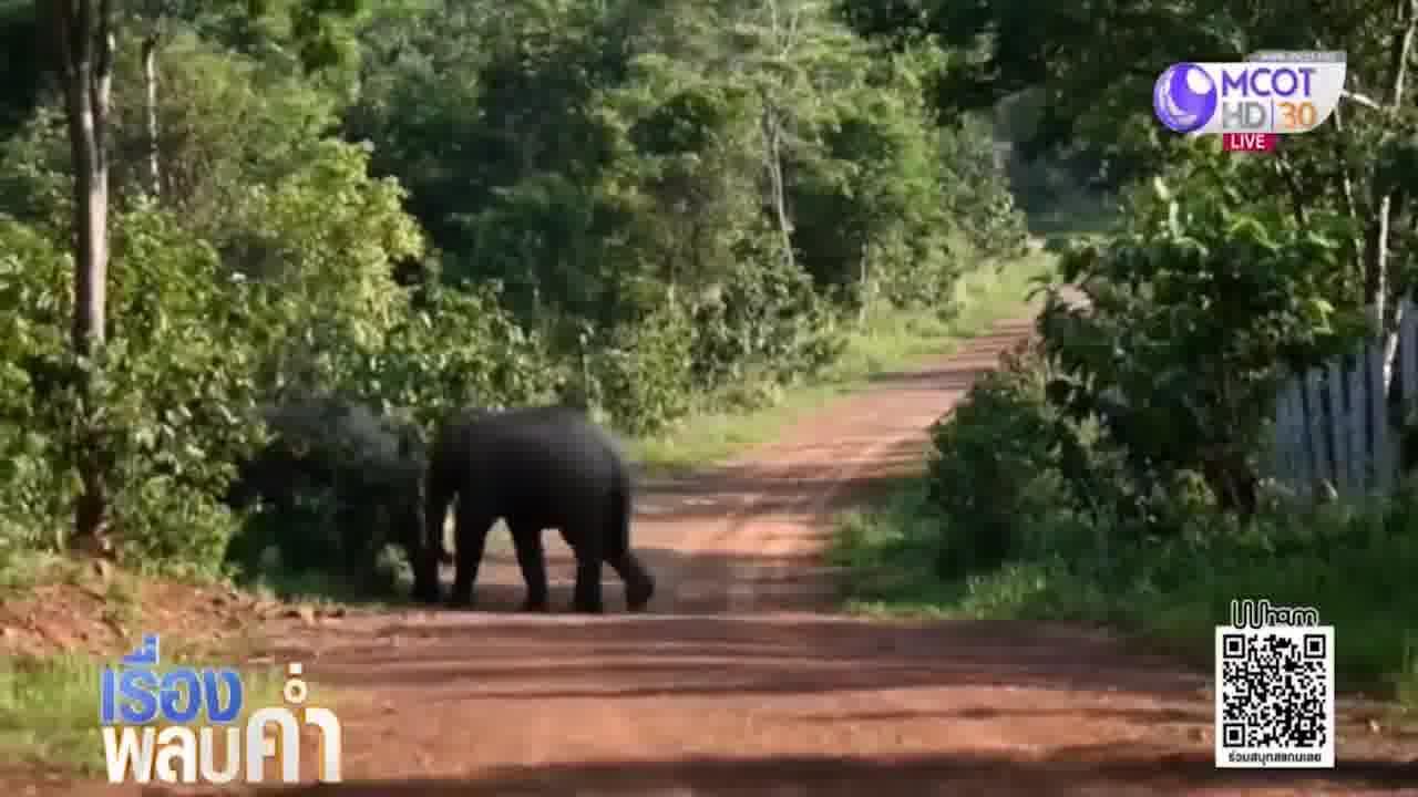 AIML (aiml-basfg) - Roboflow Universe