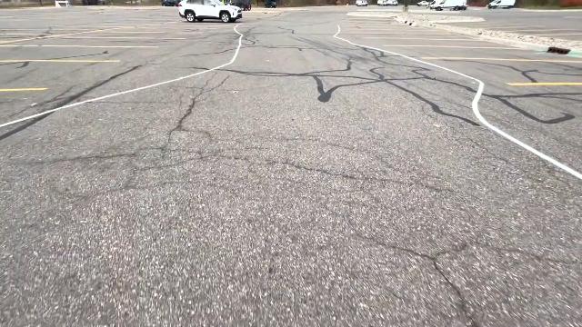 Lane_line Instance Segmentation Dataset by Nikita