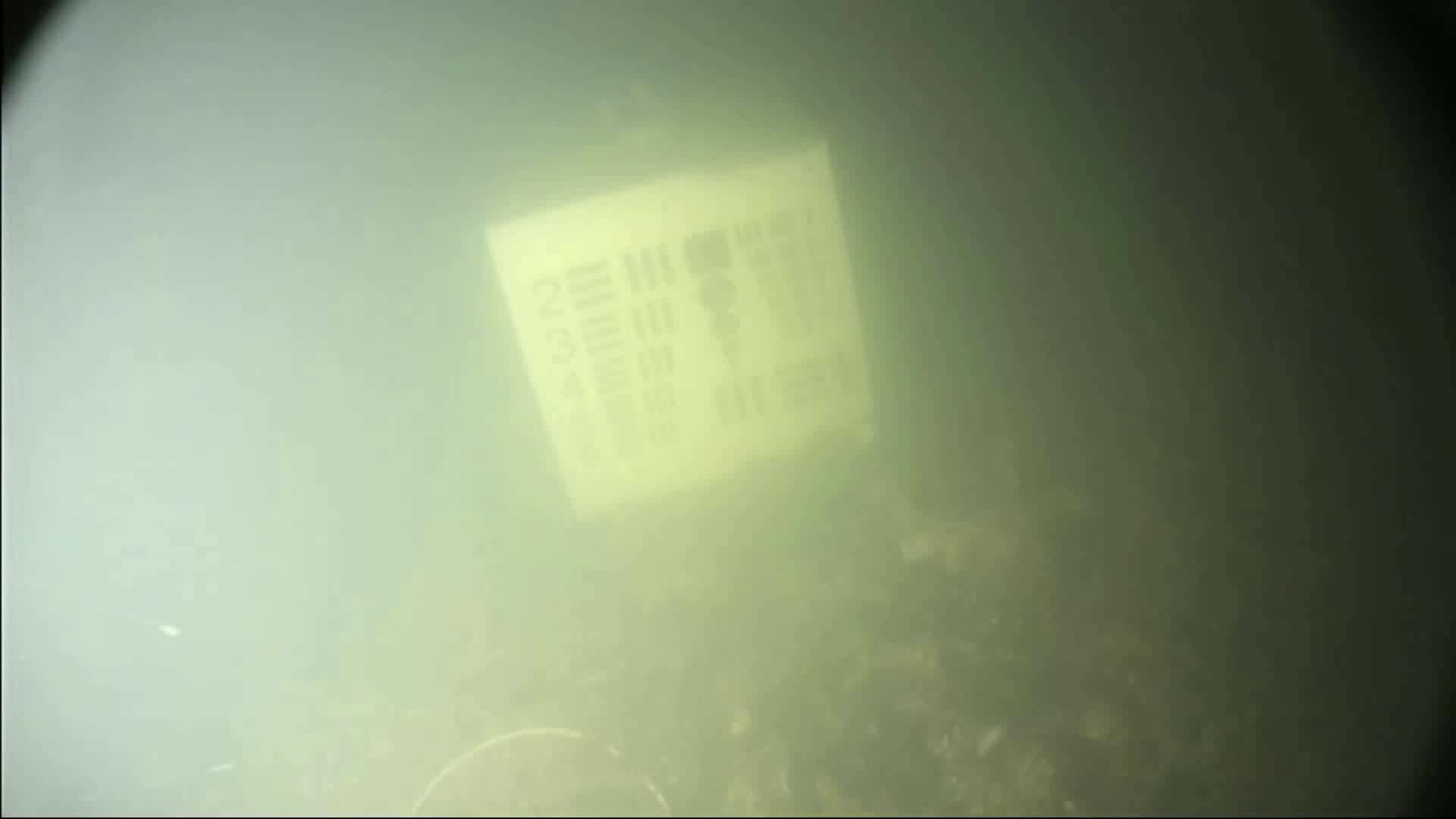 Underwater Object Detection Object Detection Dataset By Brackish Water