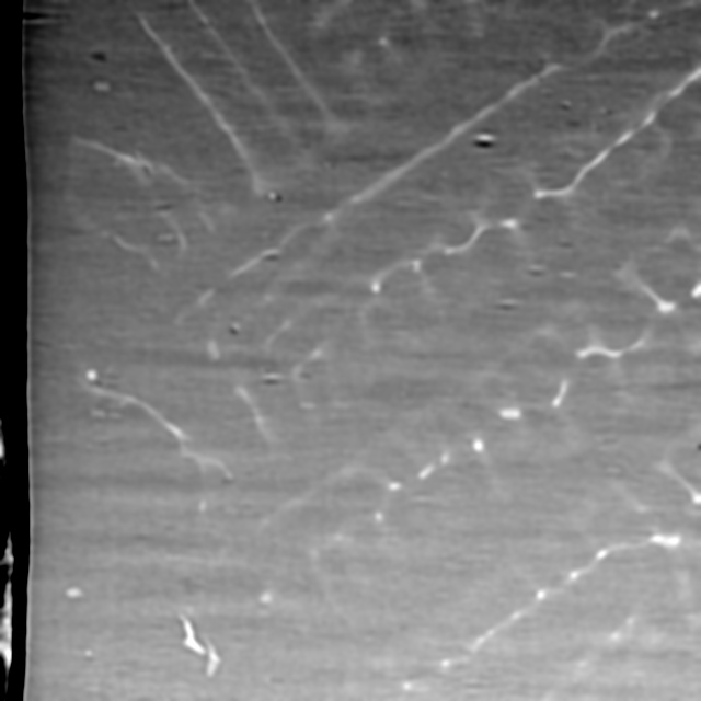 shrinkage 20221011 Object Detection Dataset and Pre-Trained Model by kooj