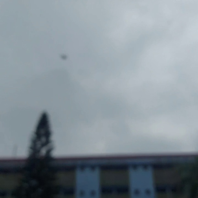 Drone Object Detection Dataset By 2024