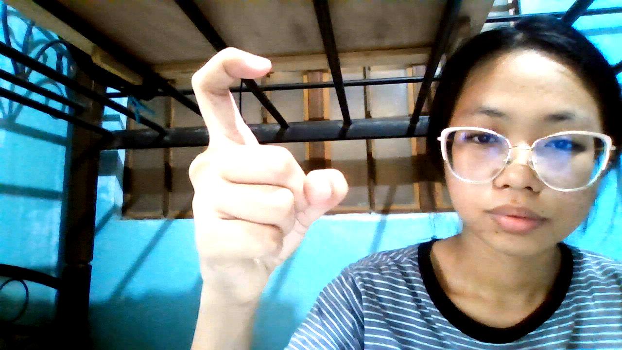 How to Use the x sign language Object Detection API