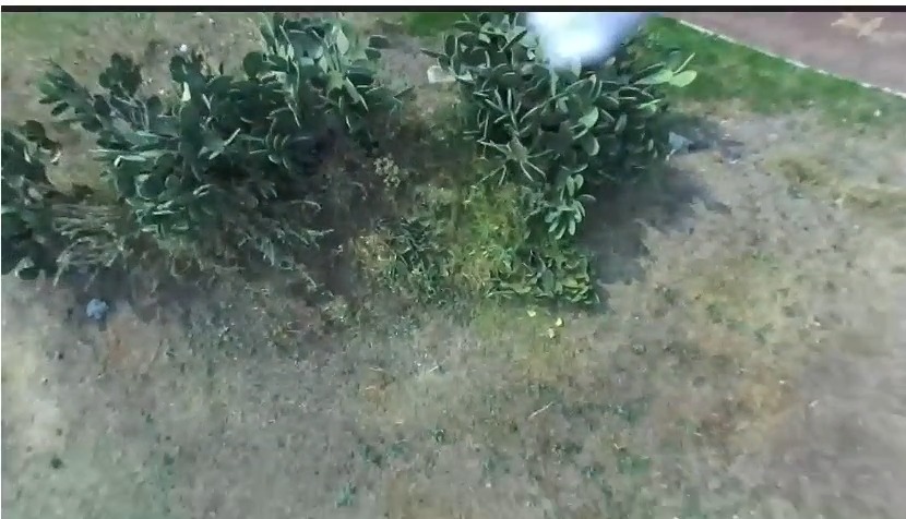 Building Object Detection Model By Jairoipn2