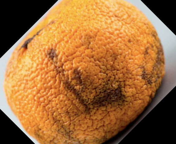 Fruit Detection Classification Dataset By College