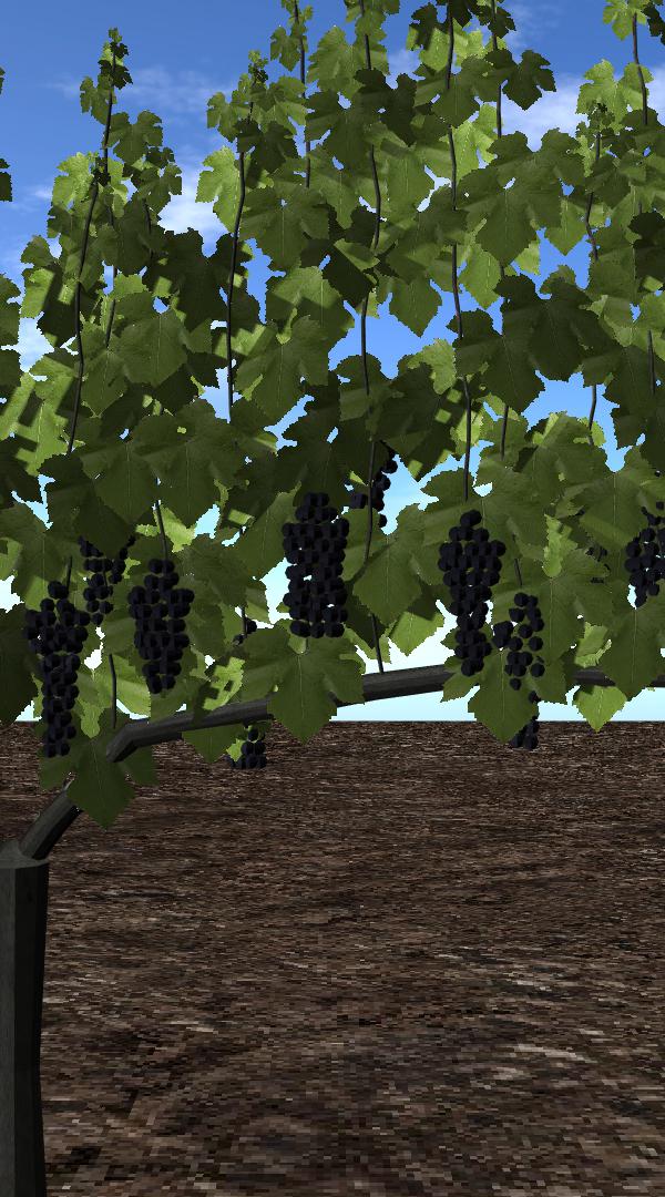 grape_detection_syntheticday Object Detection Dataset by AGML