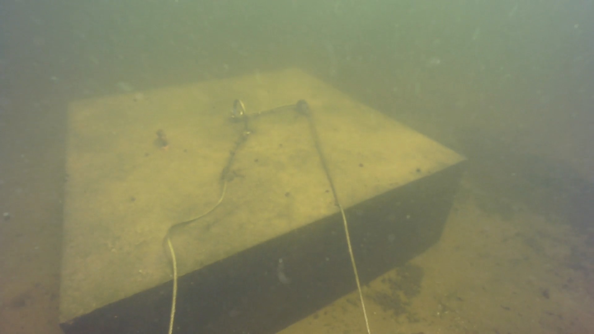 rope segmentation v2 Instance Segmentation Model by Thiha Soe