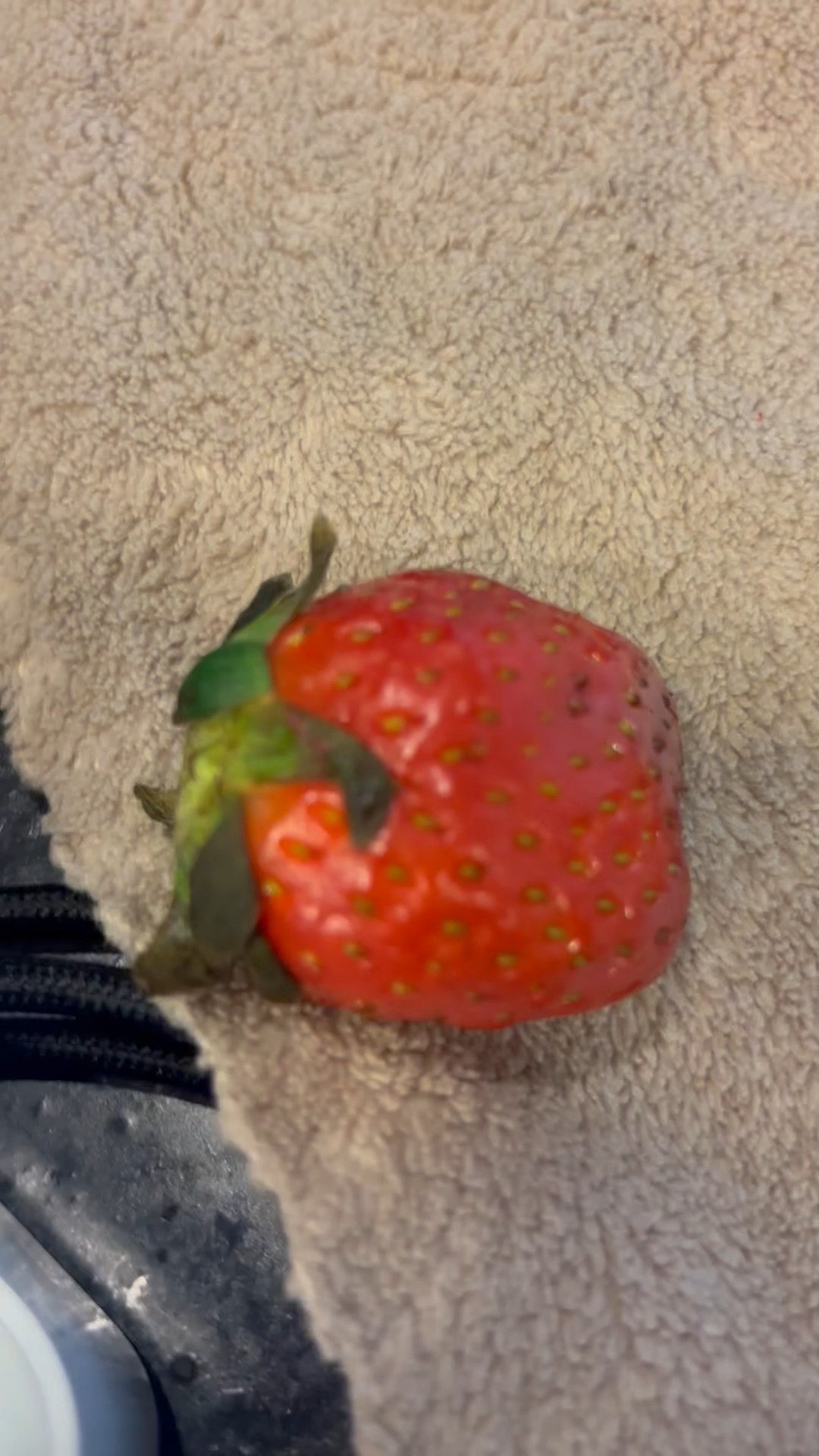 Strawberry Classification Dataset by Thiha Soe