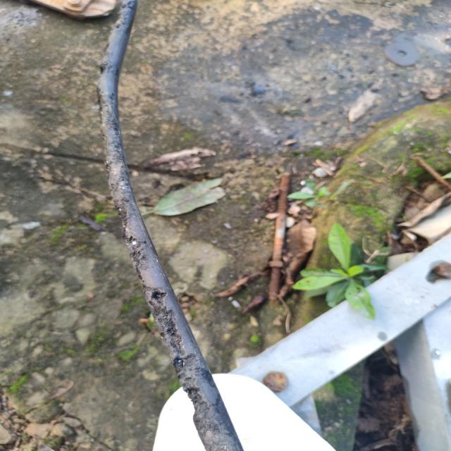 ddan_boc_tt_amon Object Detection Dataset by QNaPCvGD3