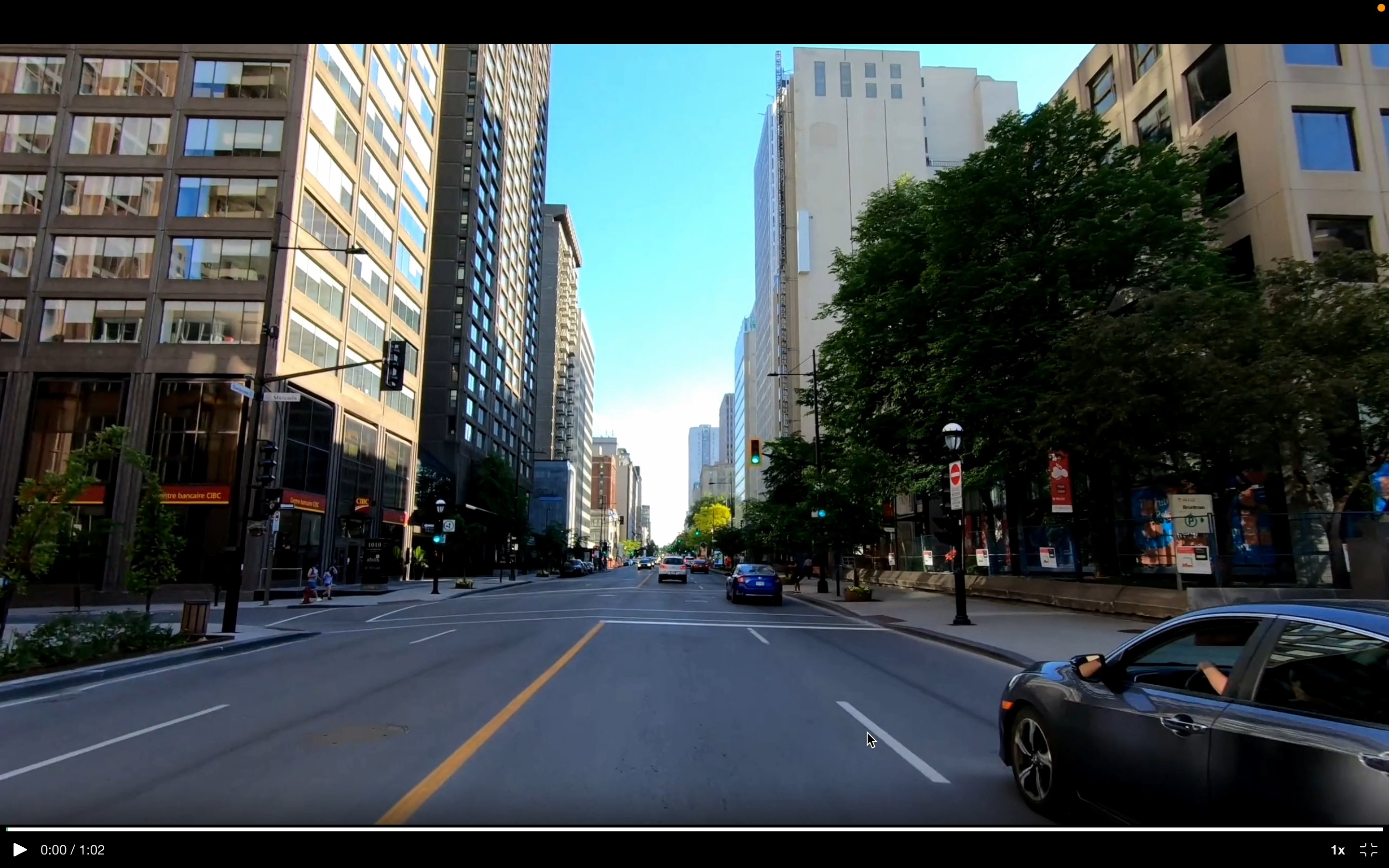 Driver_assist_colour_detection Instance Segmentation Dataset and Pre-Trained Model by SARATH