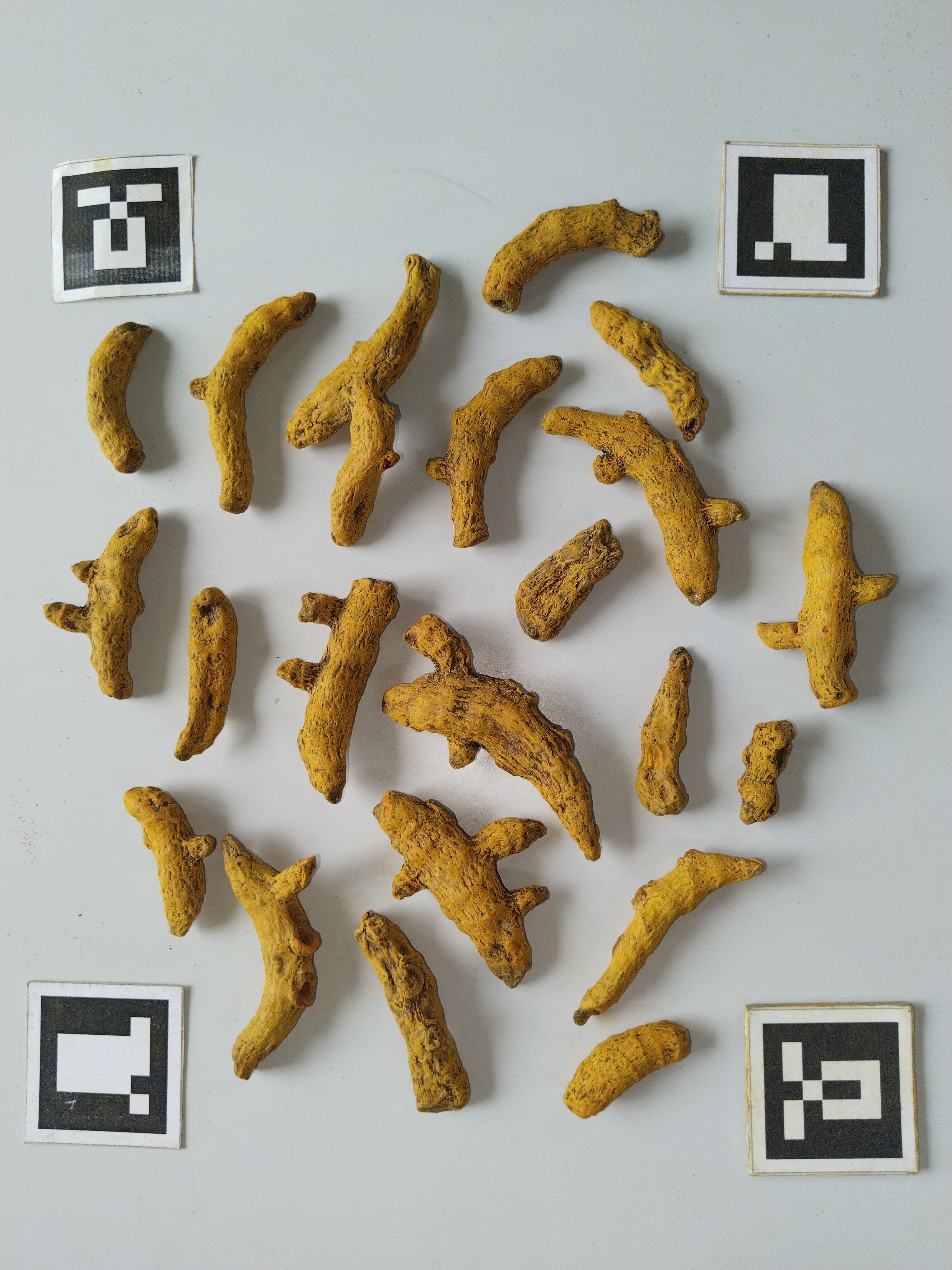 Turmeric shrink Object Detection Dataset by new project