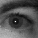 eye Object Detection Dataset by senior project