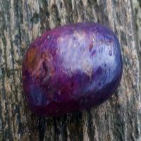 Python Projects (python-projects-bmshz) - Roboflow Universe