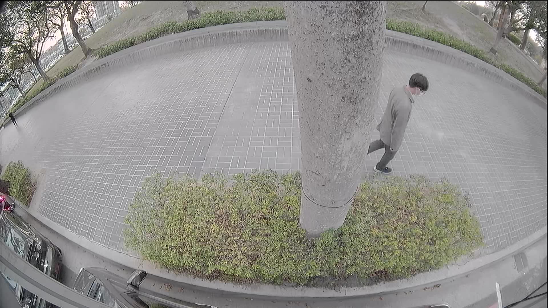 rightFlip1 Object Detection Dataset by Jay