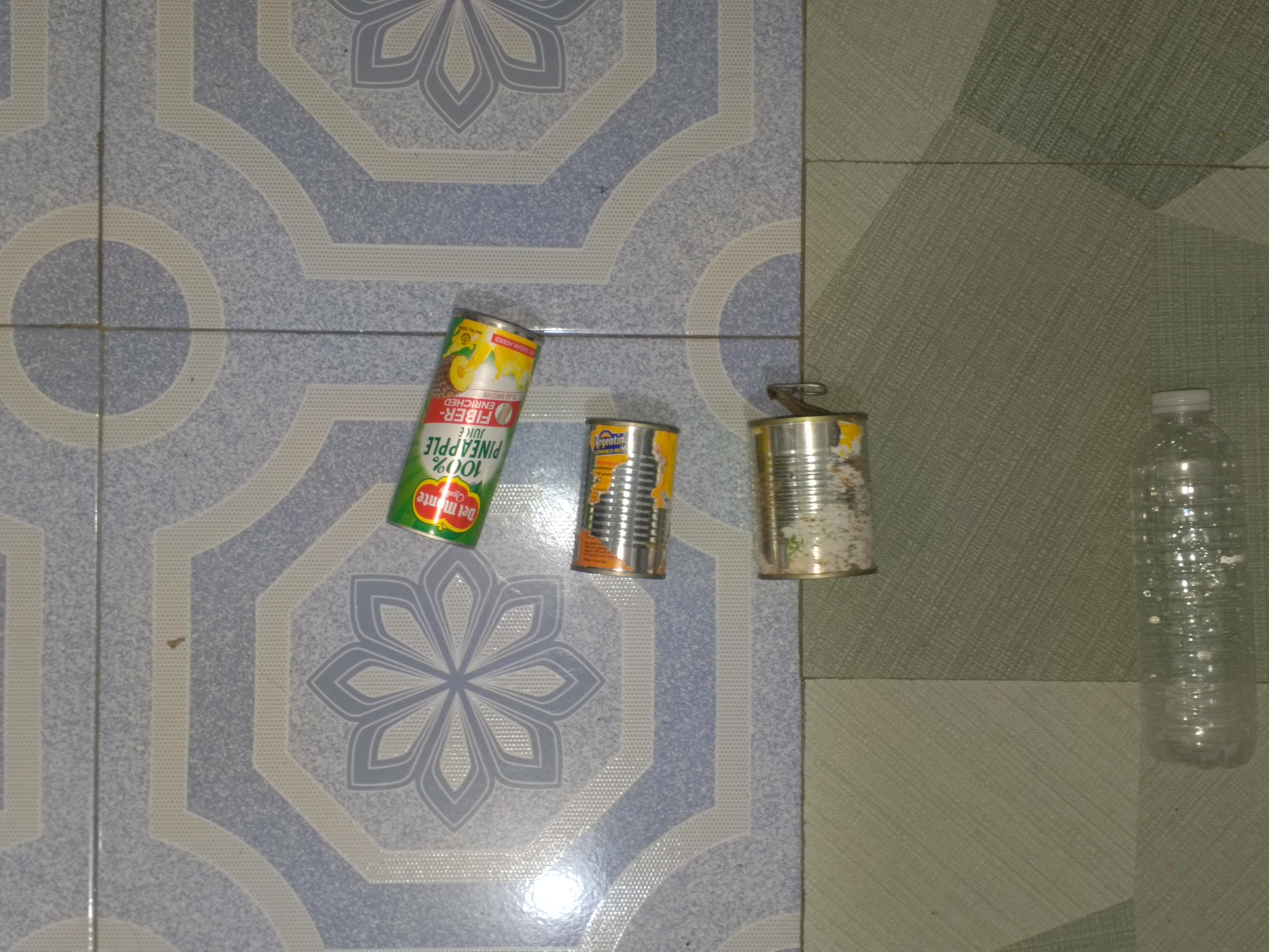 FINAL TUNING Object Detection Model by EnviroFI