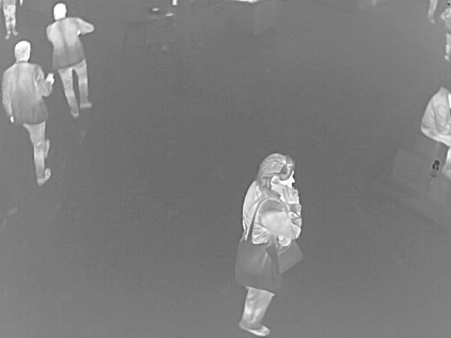 Thermal pedestrain Object Detection Model by Reconstruction of people ...