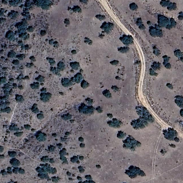 OS_Segmentation Instance Segmentation Dataset by AgroInsiderLGP