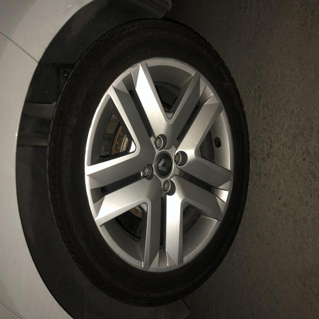 1000wheelyouhua Instance Segmentation Dataset by wheel