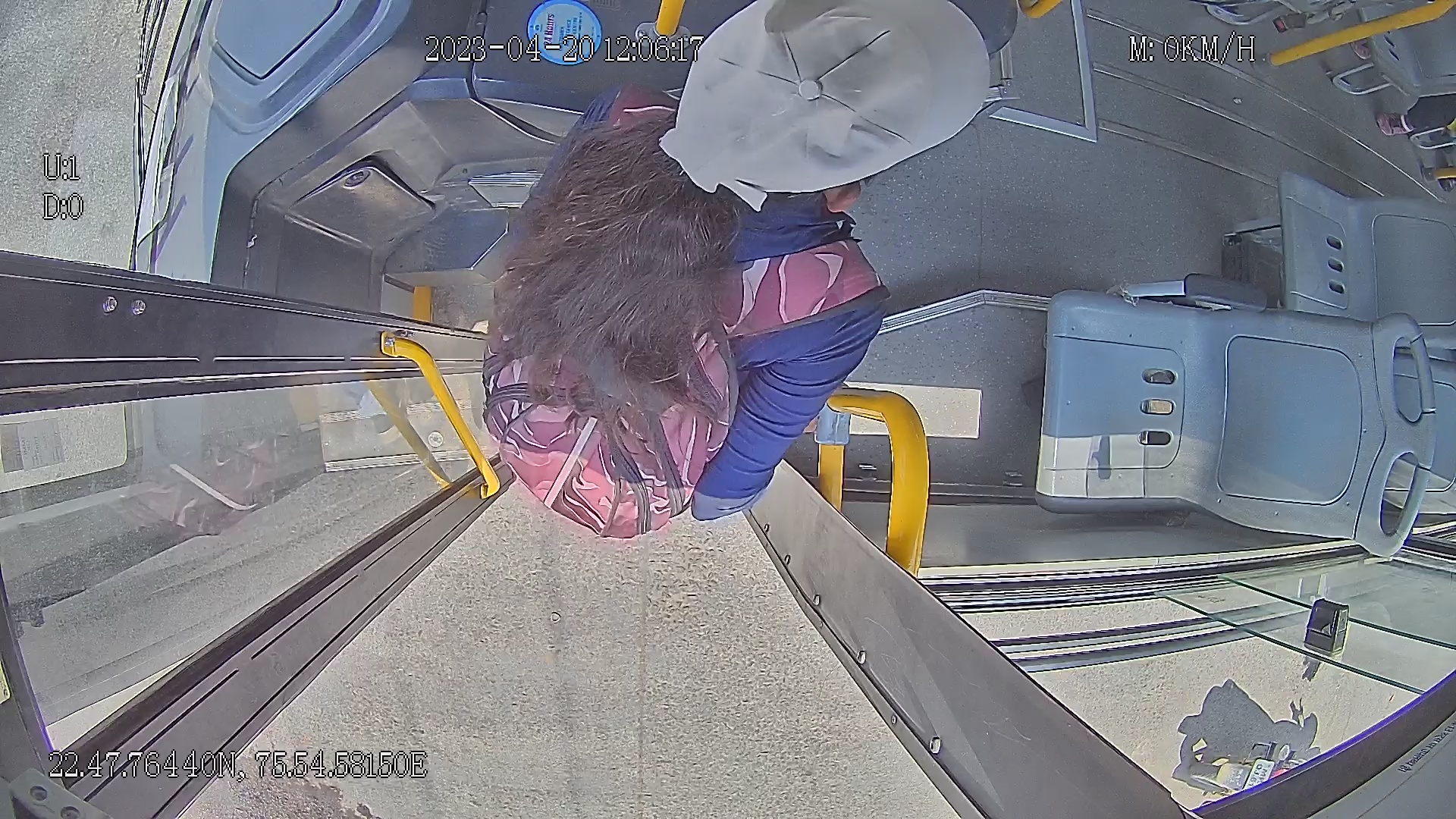 My Dataset Object Detection Dataset And Pre Trained Model By Reva