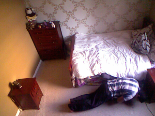 fallll Object Detection Dataset by Maya TL