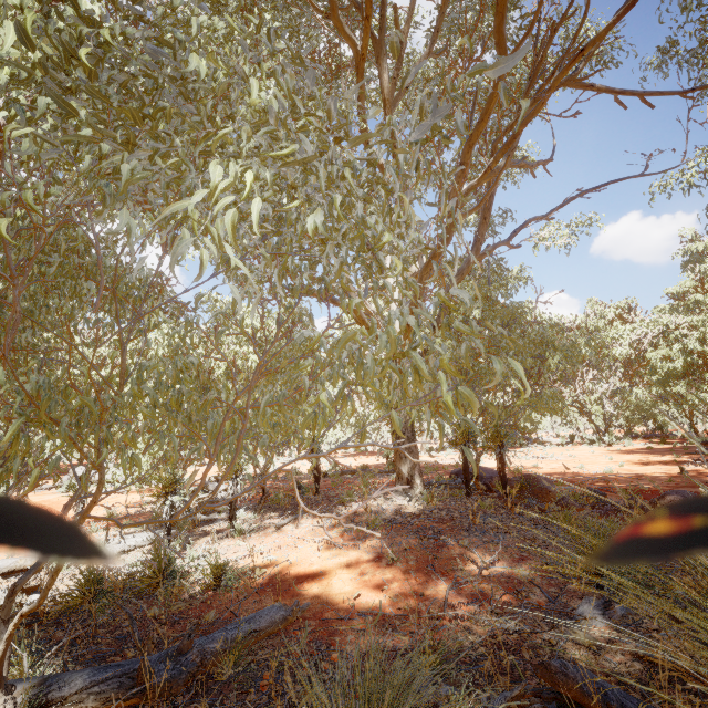 Forest Dataset Object Detection Dataset by My Workspace