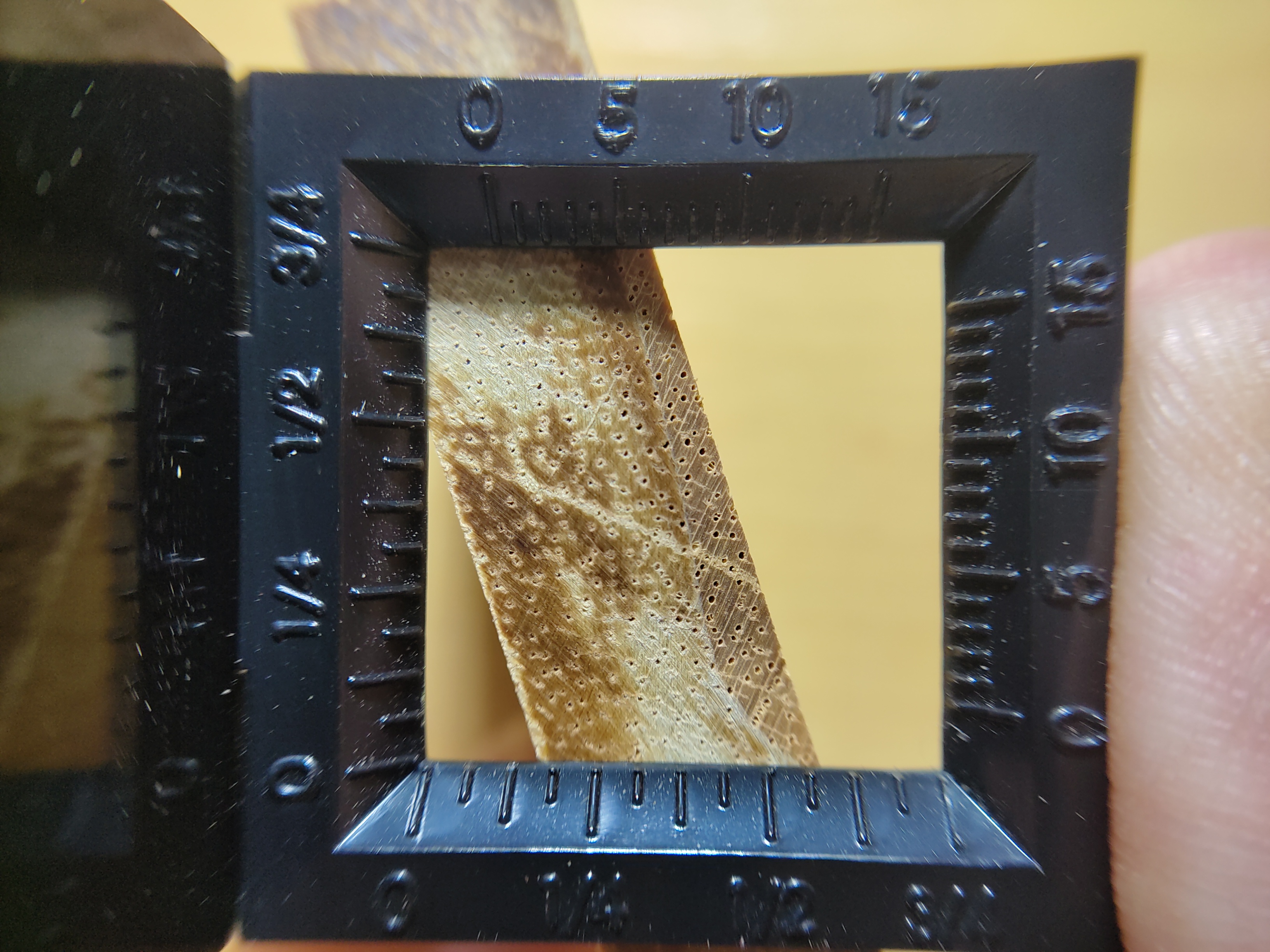 RESNET_TCC_CLASSIFICATION Classification Model by Workspace