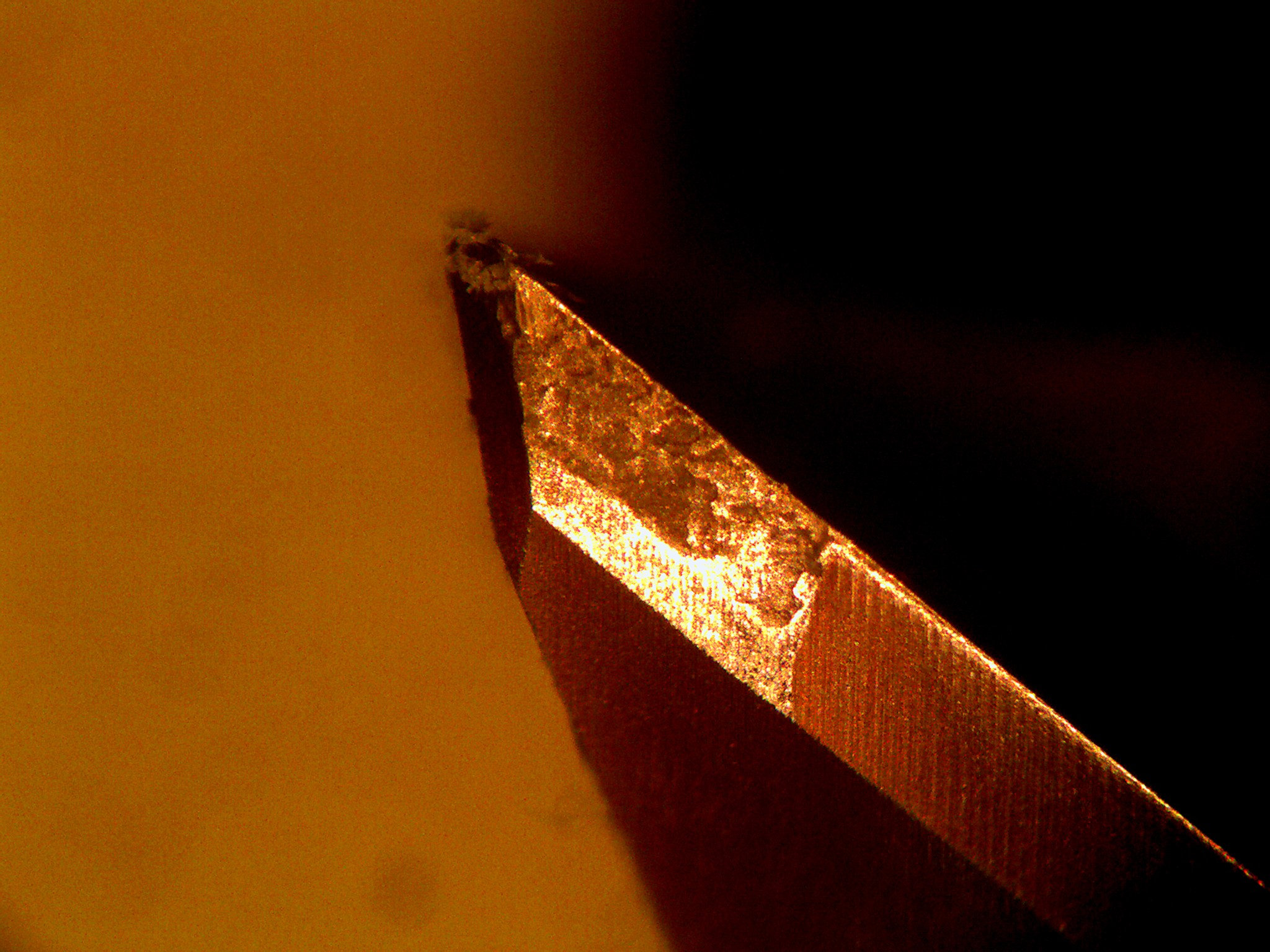 isA final Wear Segmentation Instance Segmentation Dataset by Ahbab