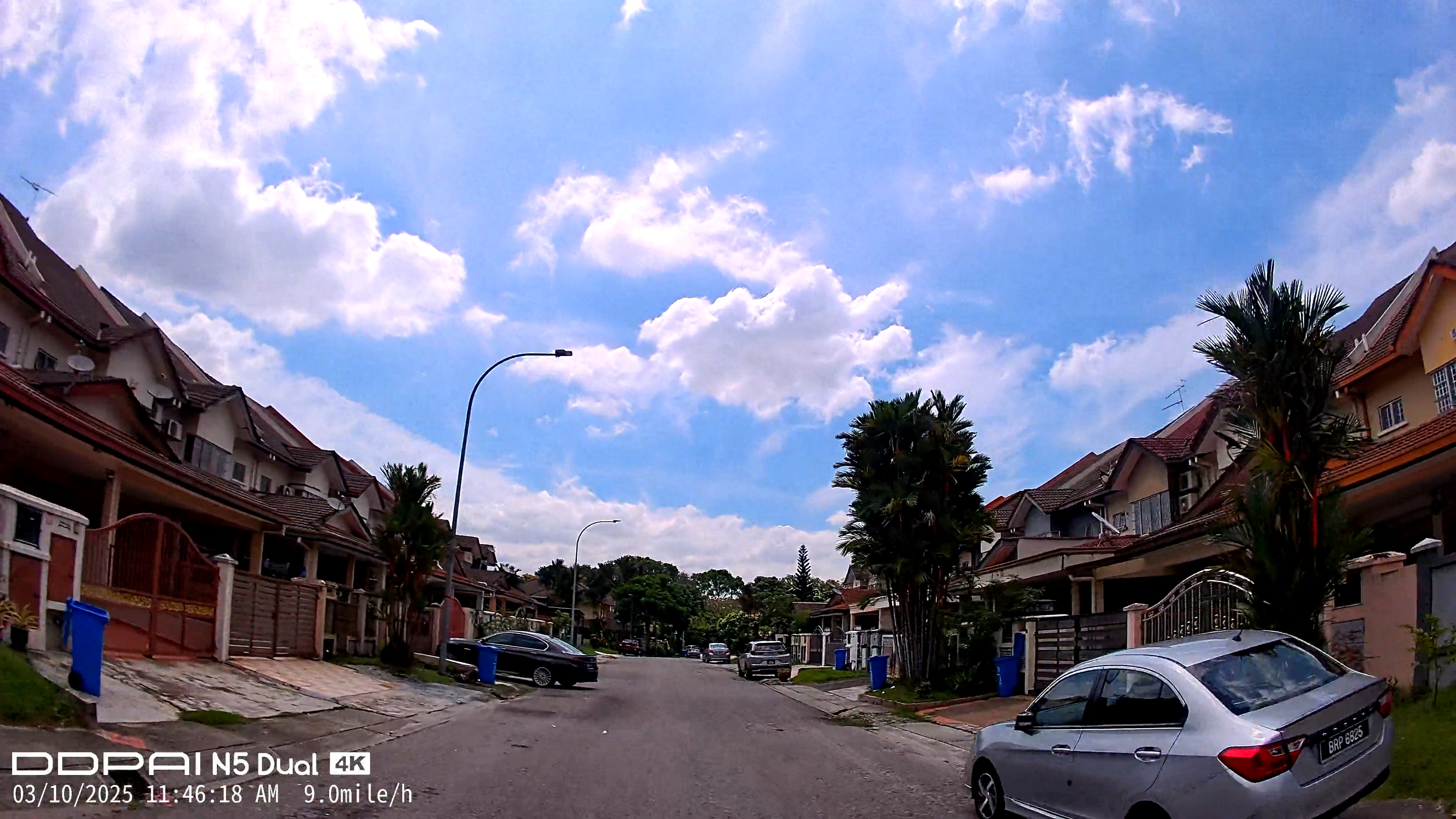 Tree Dataset Object Detection Dataset By Teststetg