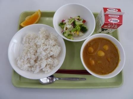 proyecto_deeplearning_detector Object Detection Dataset and Pre-Trained Model by deep learning