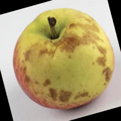 apple-defect-detection Object Detection Dataset and Pre-Trained Model by Tutorial