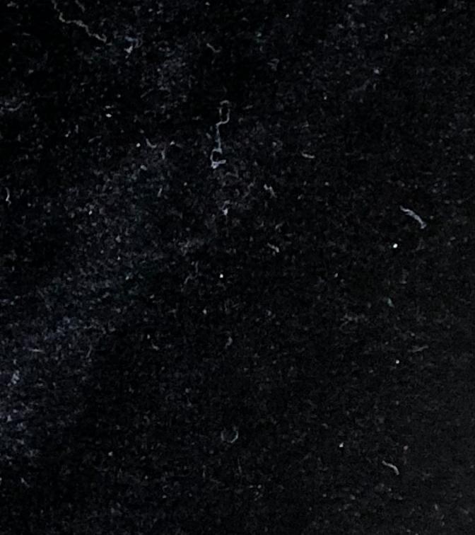 Seed Object Detection Model By Batangas State University