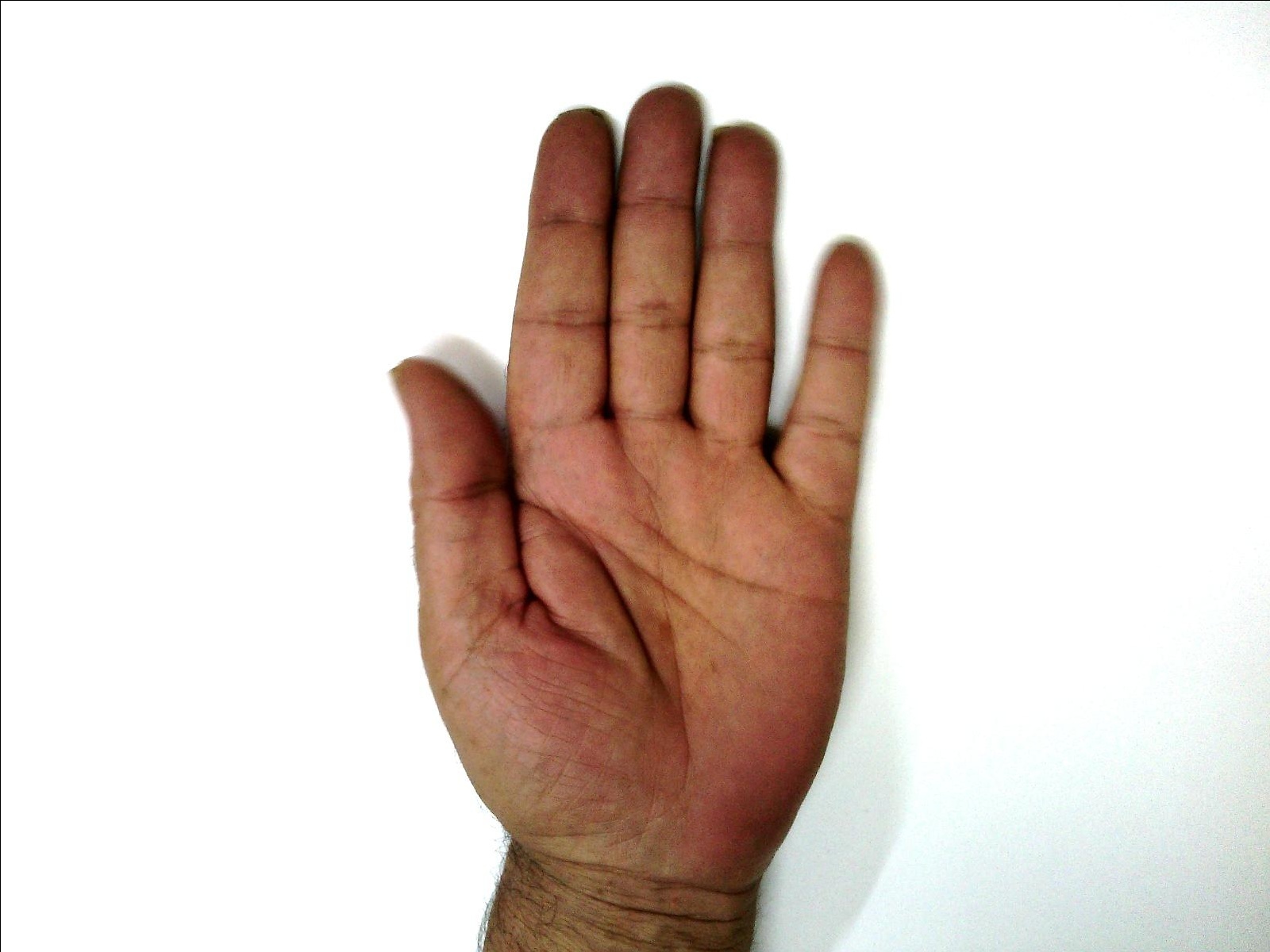 hand last Instance Segmentation Dataset and Pre-Trained Model by pro1