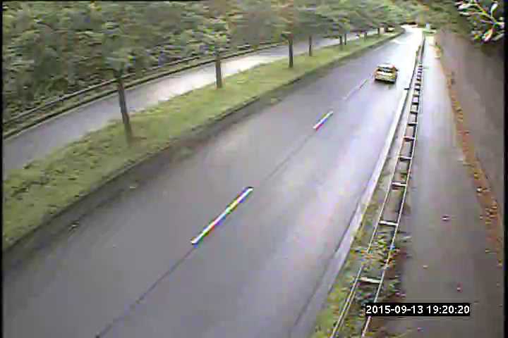 yolov5 Object Detection Dataset by yolov5