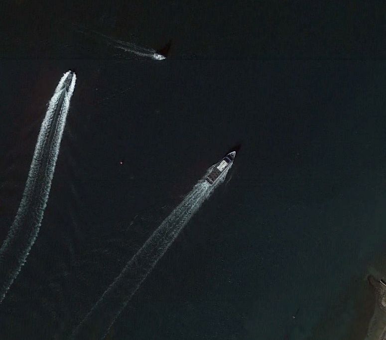 Mydata Object Detection Dataset By New