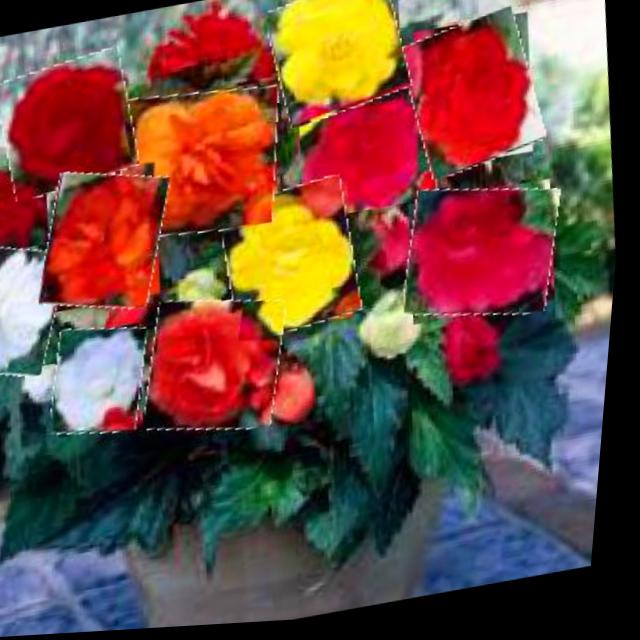 flower Object Detection Dataset by smoking