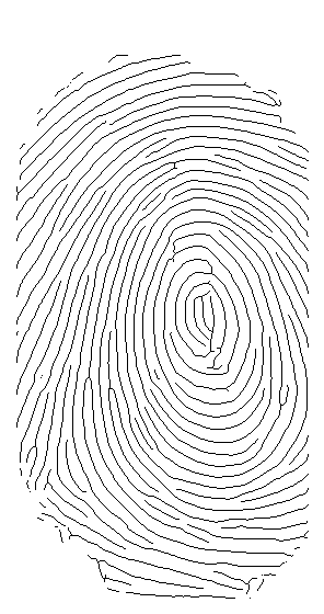 Fingerprint Secondary Object Detection Model by Softroniics