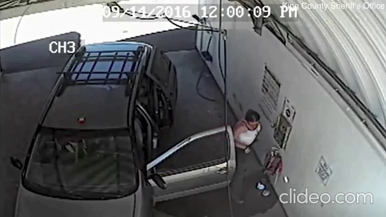 fire detection Object Detection Dataset and Pre-Trained Model by CARLO TOLIN